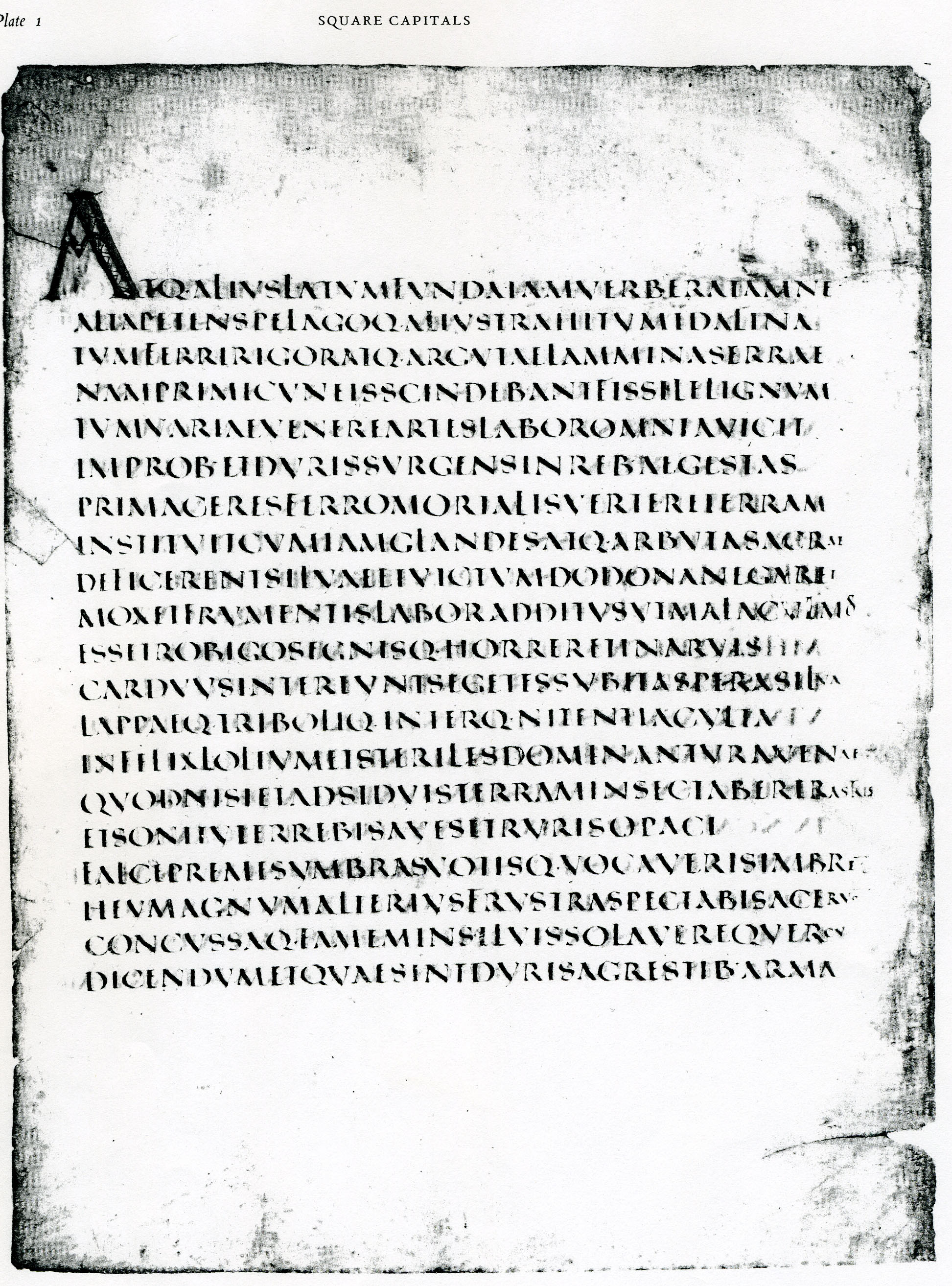 Roman Capitalis Quadrata Script